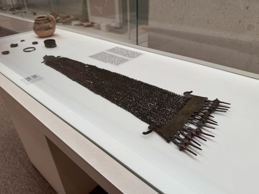 Zadar town: its history & archaeology | Peter Sommer Travels